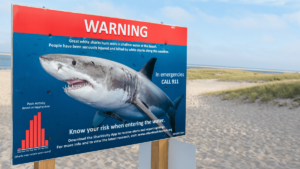 Great White Shark Habitat Map: 5 Surprising Places You Find Them ...