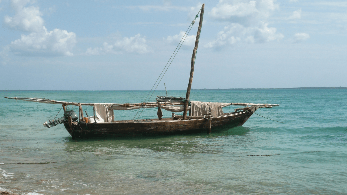 Pearl Diving & Shark Dodging: 6 Eye-Opening Things You Never Knew ...